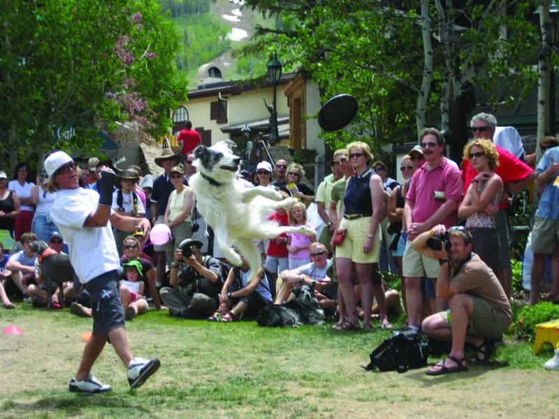 Disc dogs dominate | VailDaily.com