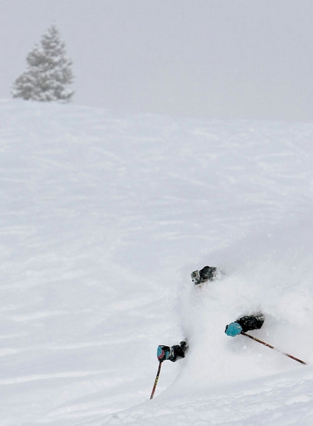 Vail reporting 19 inches of powder | VailDaily.com
