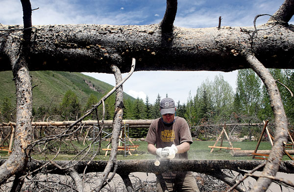 Vail: Artist installs recycled beetle benches | VailDaily.com