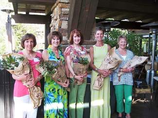 Vail Valley Scenery column: VVMC Volunteer Corps board installs new ...