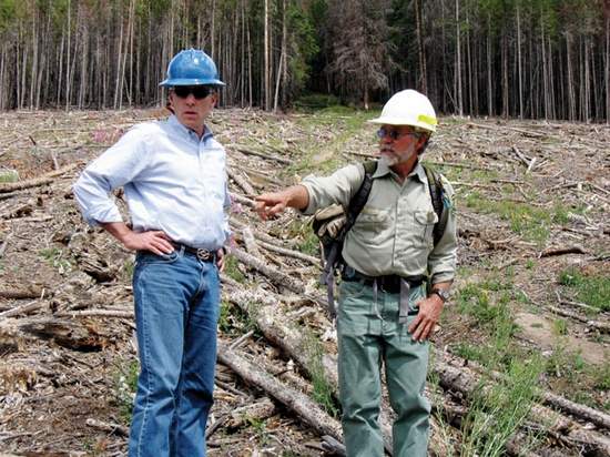 Udall visits Dillon for update on mountain pine beetle fight ...