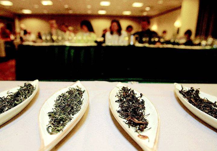 Admiring the subtle-teas | VailDaily.com