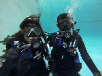Beaver divers | VailDaily.com
