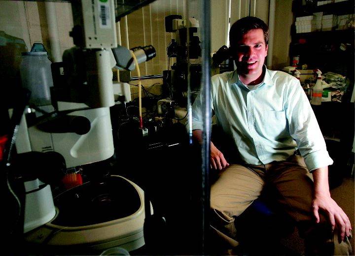 Findings may signal shift in stem cell debate | VailDaily.com