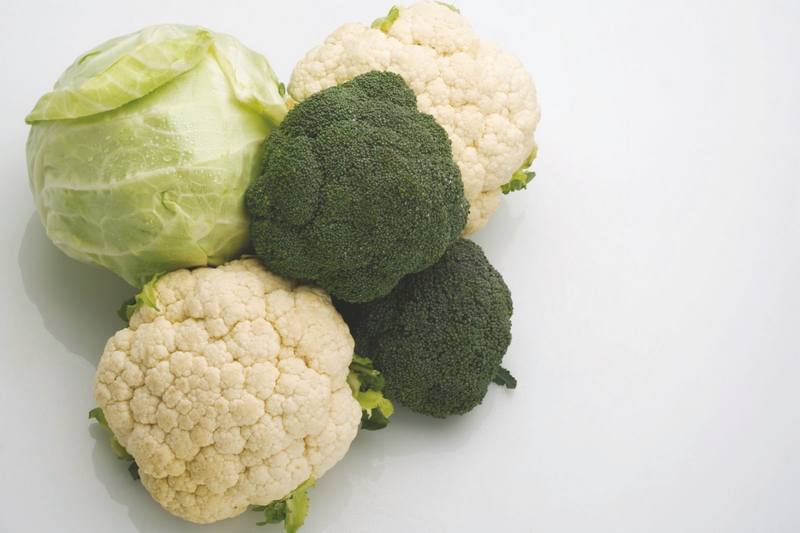 Food is good medicine for fighting breast cancer | VailDaily.com