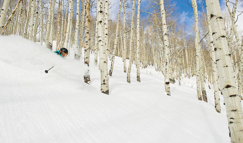 Photo: Powder day on Vail Mountain | VailDaily.com