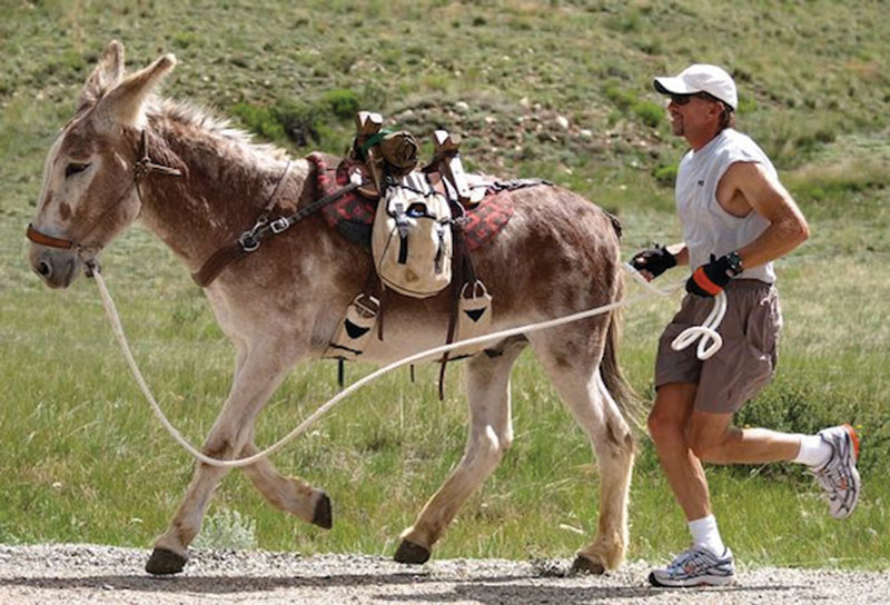 Library showing documentary that celebrates pack burro racing ...