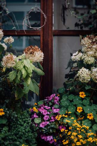 Photo: Photography at Betty Ford Alpine Gardens with instructor Amy ...