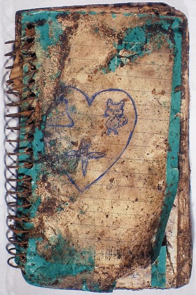 Notebook found with remains deciphered | VailDaily.com