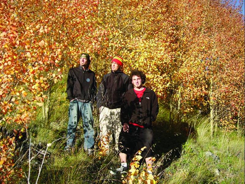 Strive Roots comes home | VailDaily.com