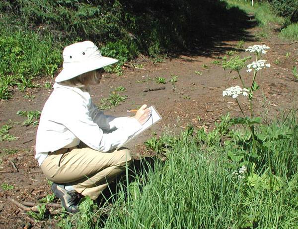 Getting addicted to the outdoors | VailDaily.com