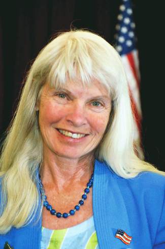 Democrat Diane Mitsch Bush re-elected to Colorado House | VailDaily.com