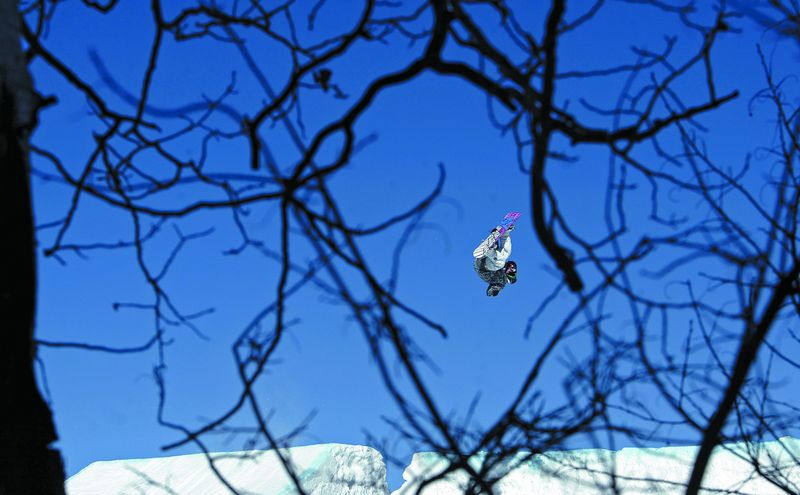 Tree jump | VailDaily.com