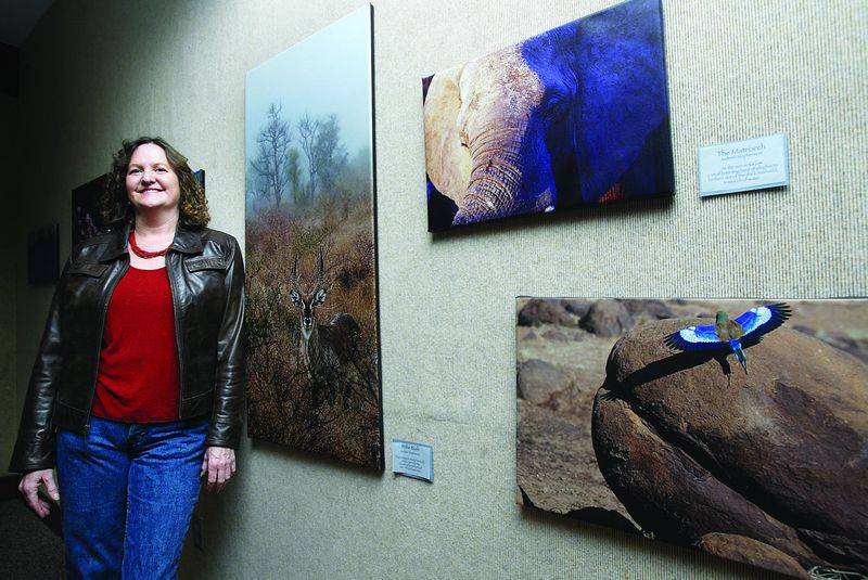 On photo safari with Jodeen Stephenson | VailDaily.com