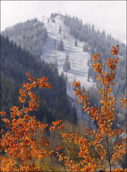 Feature photo: Fall in Aspen | VailDaily.com