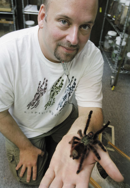 Spiders can make great pets year-round | VailDaily.com