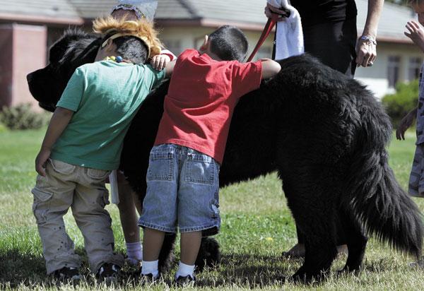 He’s man’s best friend " and heel-er | VailDaily.com
