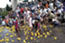 Rubber ducks flood Gore Creek | VailDaily.com