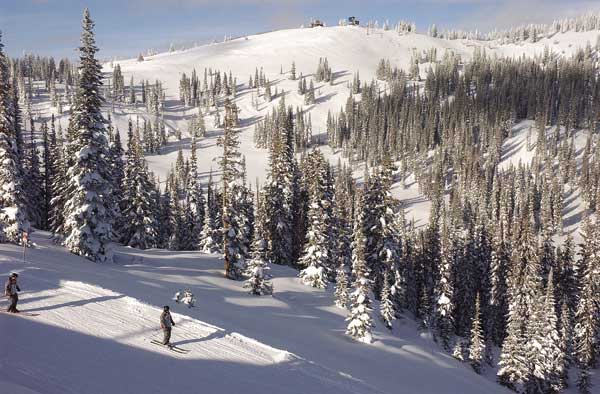 Skiers rarely warned about tree wells | VailDaily.com
