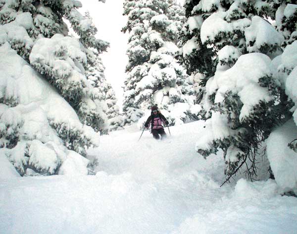 Get ready for powder envy, Vail Valley | VailDaily.com