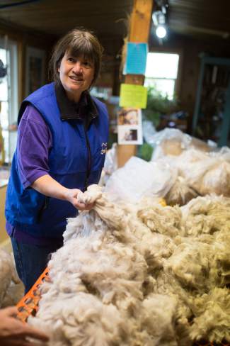 Big Hat Ranch raises alpacas and awareness about ranching | VailDaily.com