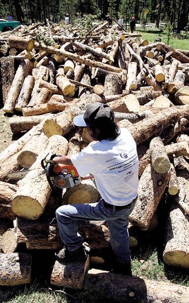 Dead trees are dangerous trees | VailDaily.com