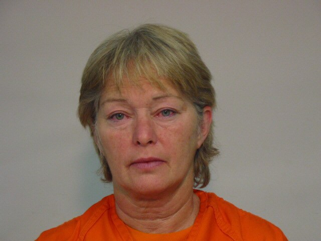 Woman tells police she shot husband in the arm | VailDaily.com