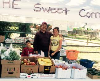 Palisade produce | VailDaily.com
