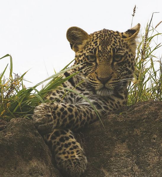 North Carolina-based artist showing his photography in Avon | VailDaily.com