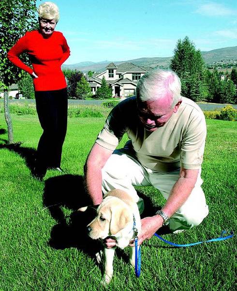 Puppy finds ‘foster parents’ in Arrowhead | VailDaily.com