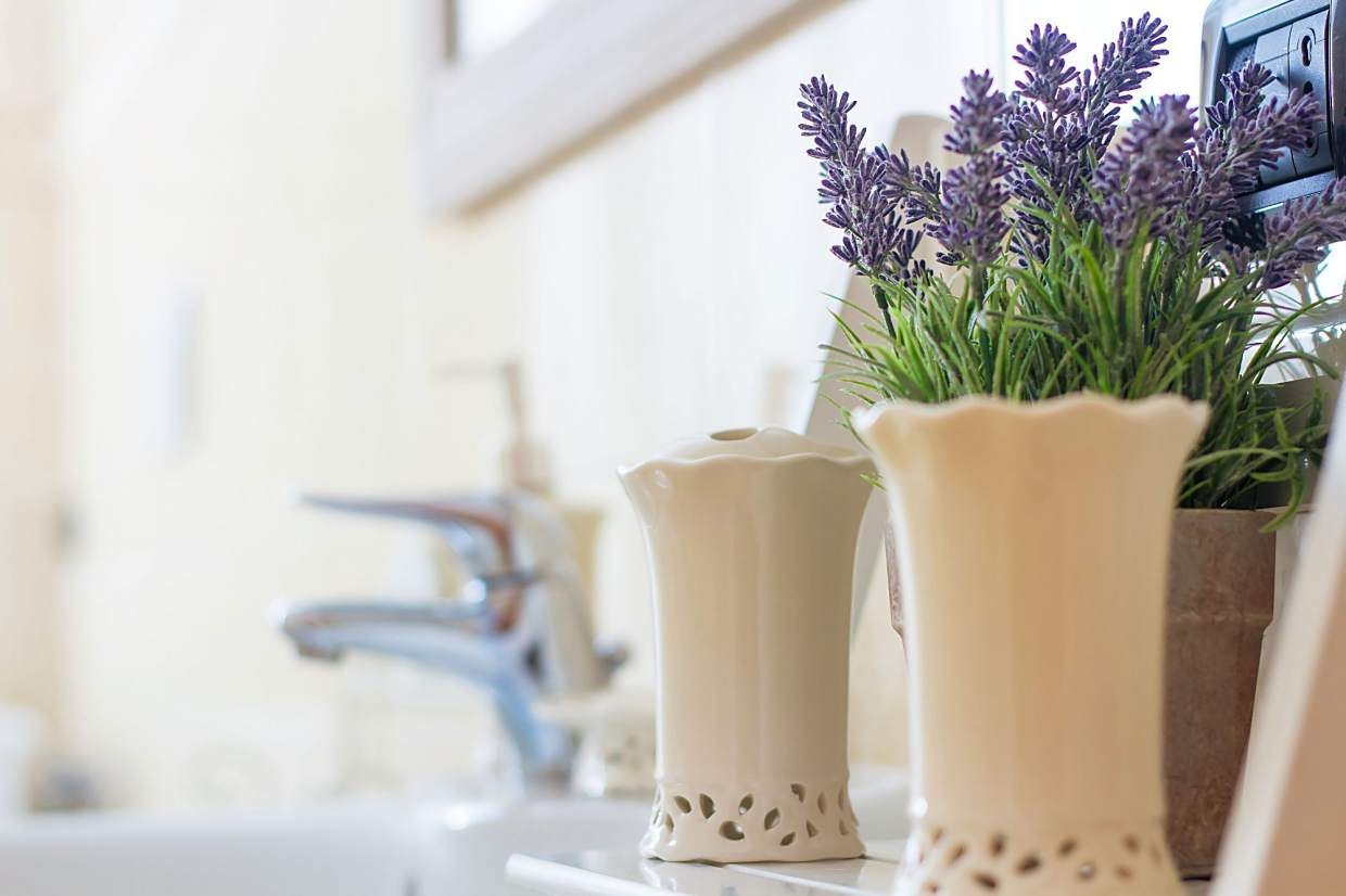 Vail Landscape Logic column: Flowering plants and herbs for the indoors ...