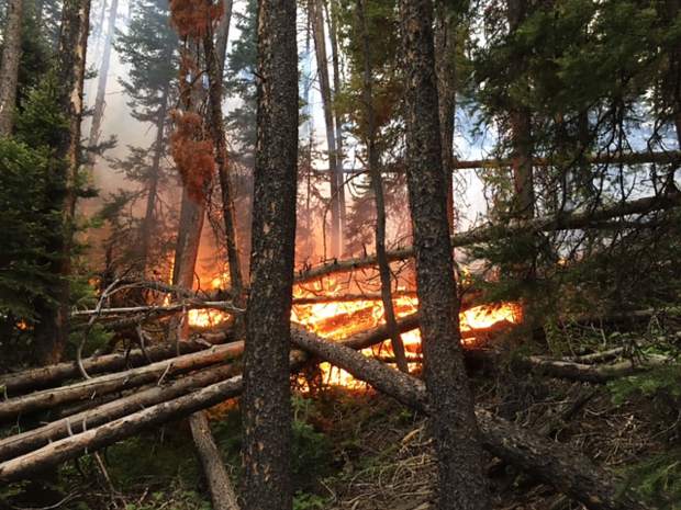 Good weather, hard work from fire crews calm 974-acre Gutzler Fire ...