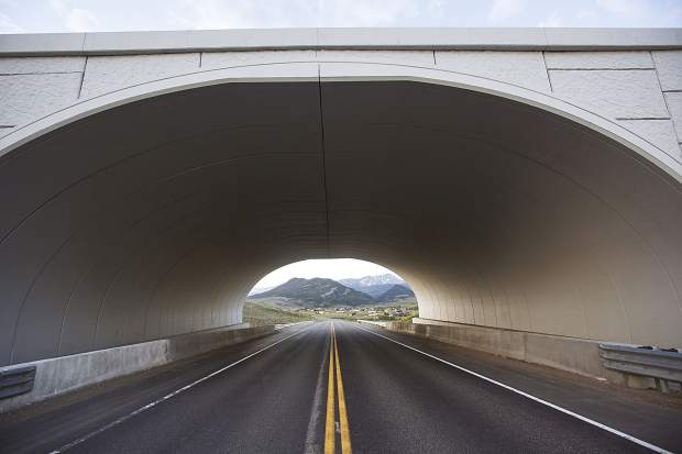 Colorado’s wildlife crossings save lives; officials need help to build ...