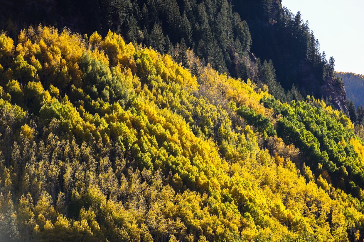 The Vail Valley’s week in photos (Sept. 17-23) | VailDaily.com