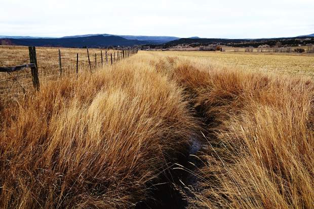 Rancher trying to help Crystal River flows runs into ‘bizarre ...