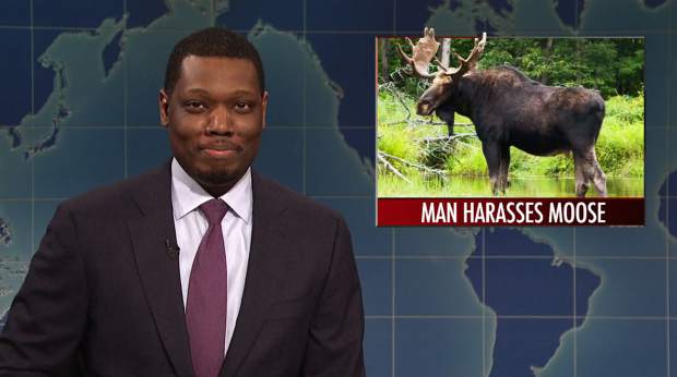 ‘Saturday Night Live’ makes light of Frisco moose matters | VailDaily.com