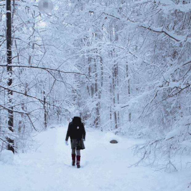 Go on a therapy walk with Walking Mountains | VailDaily.com