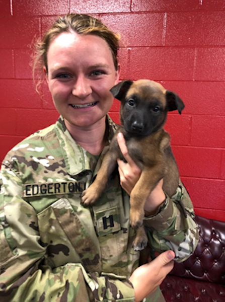 Take it from a military veterinarian: Your dogs are good for you ...