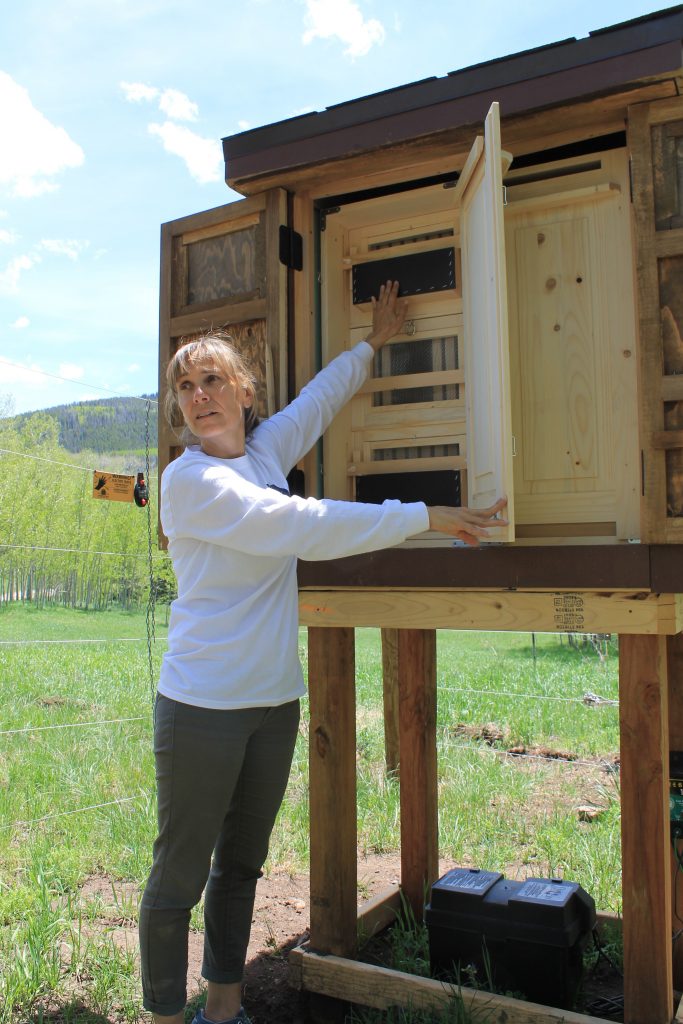 Knapp Ranch is all about the bees’ needs | VailDaily.com