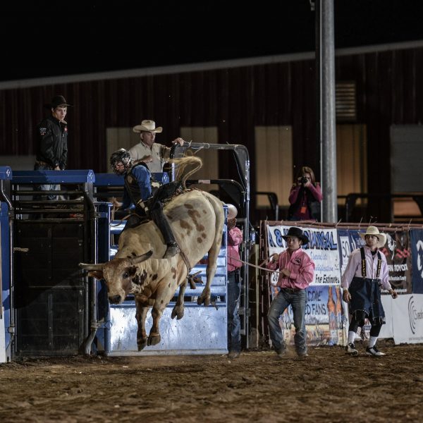 Eagle County Fair and Rodeo goes green | VailDaily.com