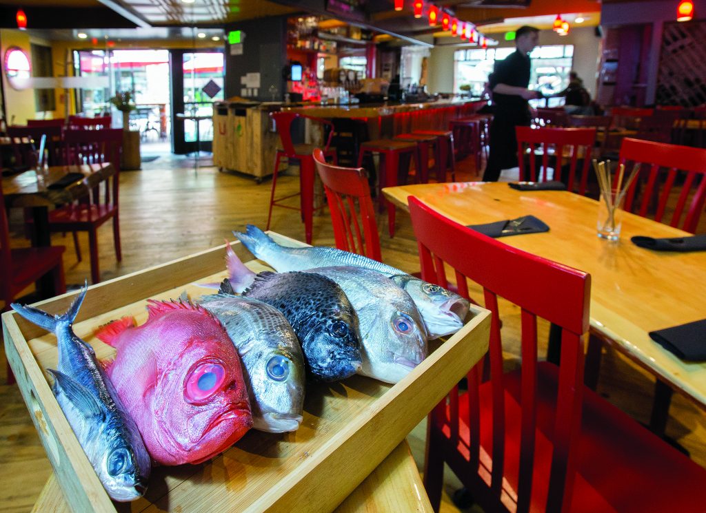 Hooked brings ocean flavor to the mountains | VailDaily.com