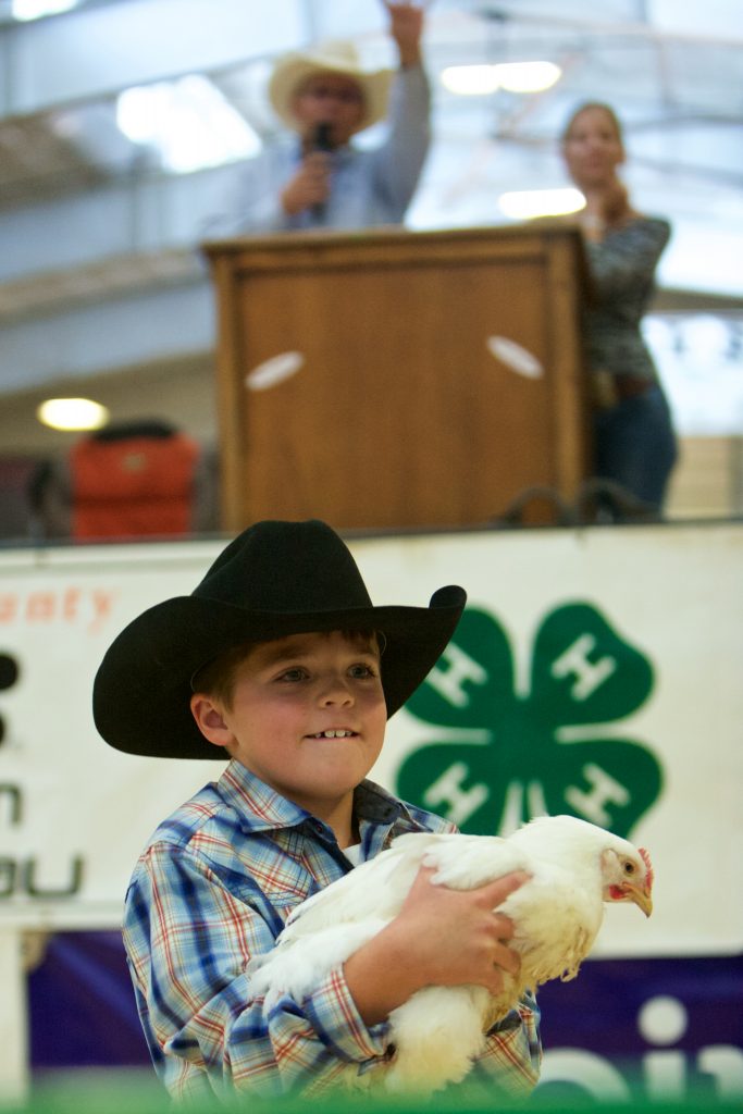 80 years young: Eagle County Fair & Rodeo celebrates Western heritage ...
