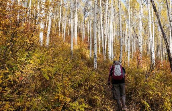 9 of the Vail Valley's best fall foliage hikes | VailDaily.com