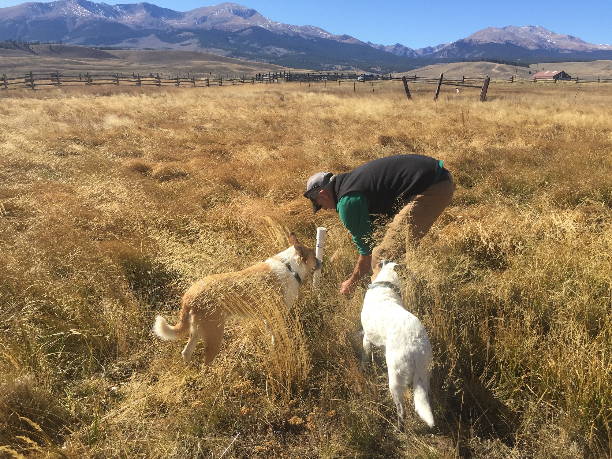 Efforts to relocate an ancient wetland could help determine the fate of ...