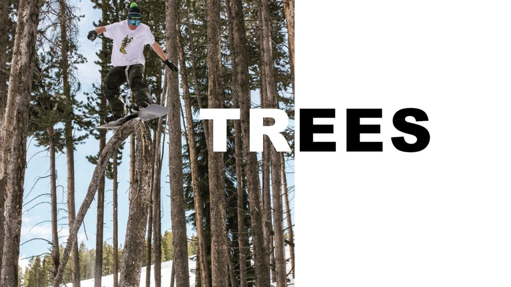 WATCH: Shawn Cypher’s ‘Trees’ is a contemporary masterpiece | VailDaily.com