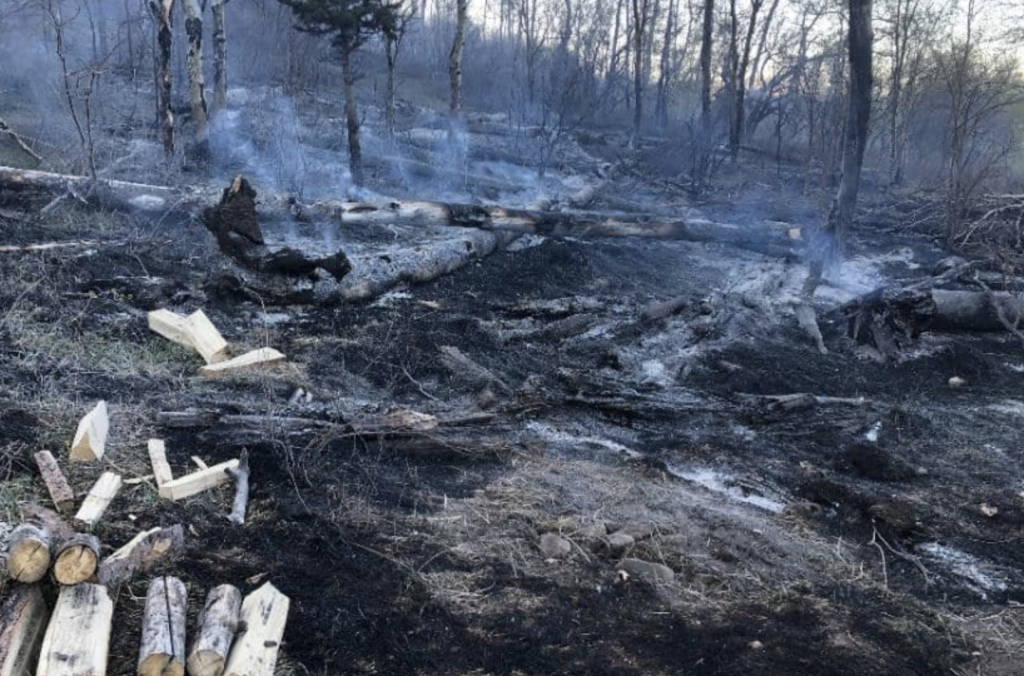 Colorado Gov. Jared Polis extends Fire Ban Executive Order through Oct ...