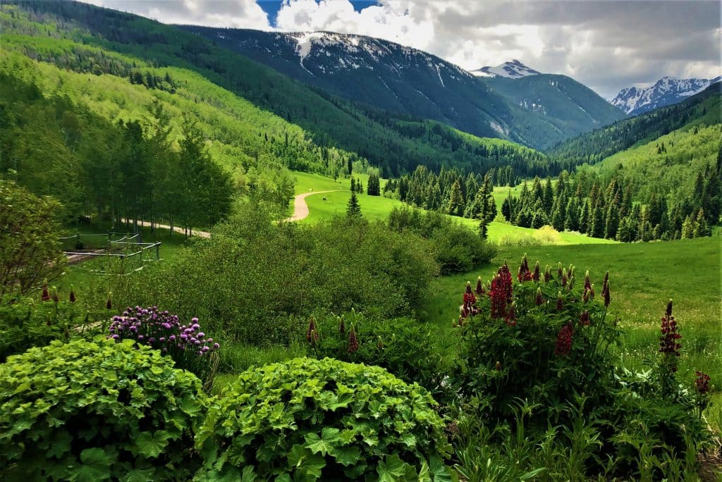 Make milk carton birdhouses and learn about Knapp Ranch: Kids Corner ...