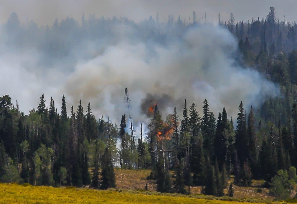 Sheriff’s Office lifts pre-evacuation notices for several areas in ...