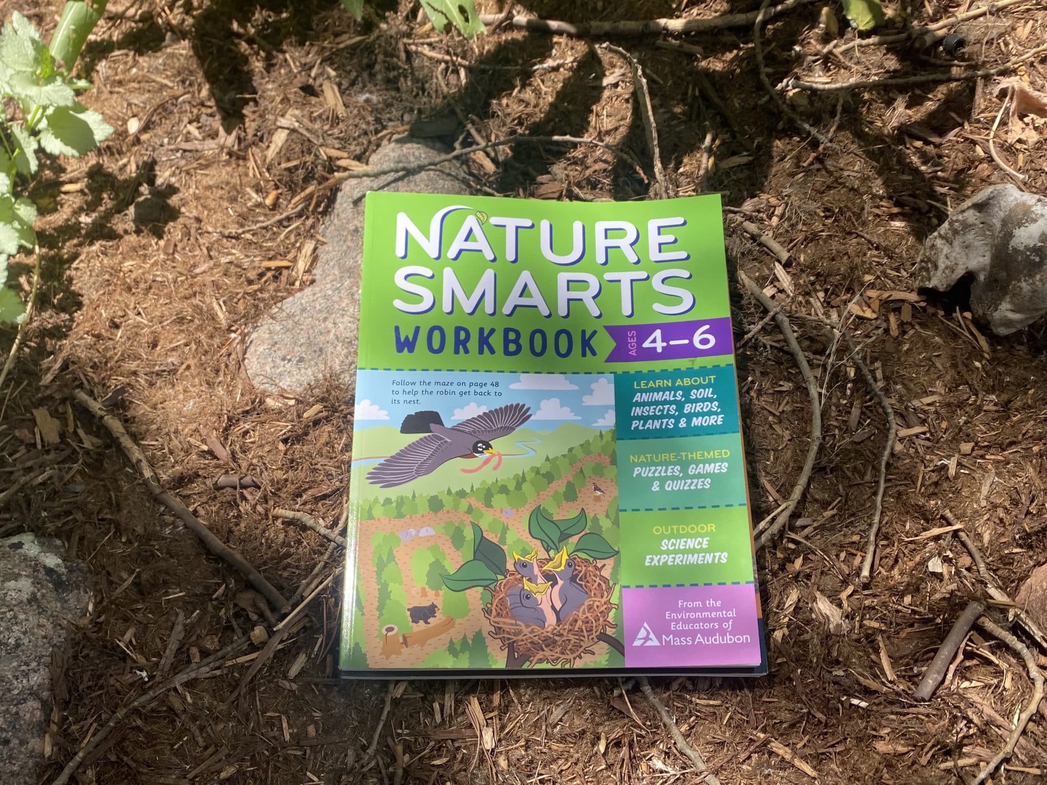 Traveling with kids this summer? Here are 5 nature-themed workbooks to ...