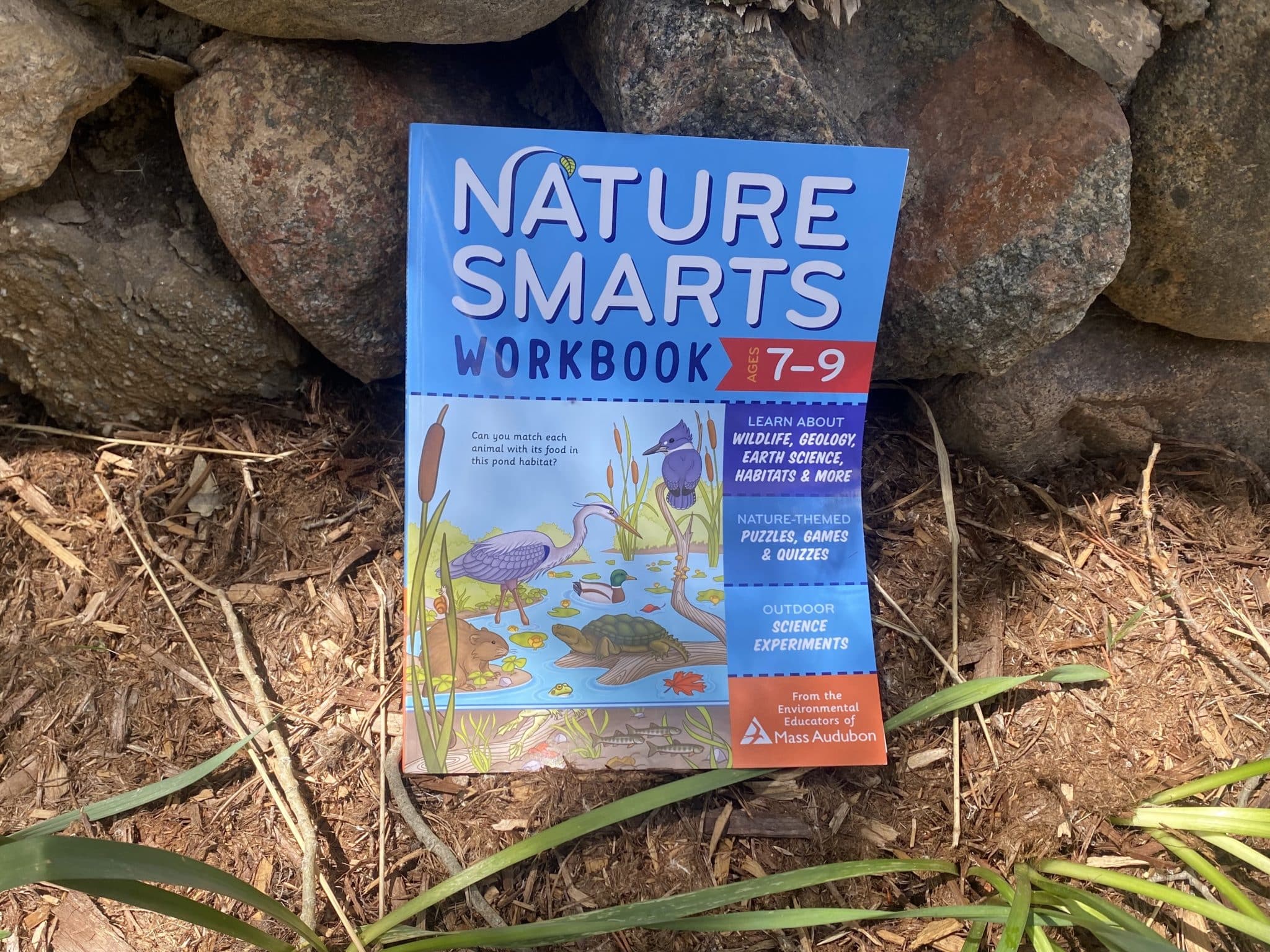 Traveling with kids this summer? Here are 5 nature-themed workbooks to ...